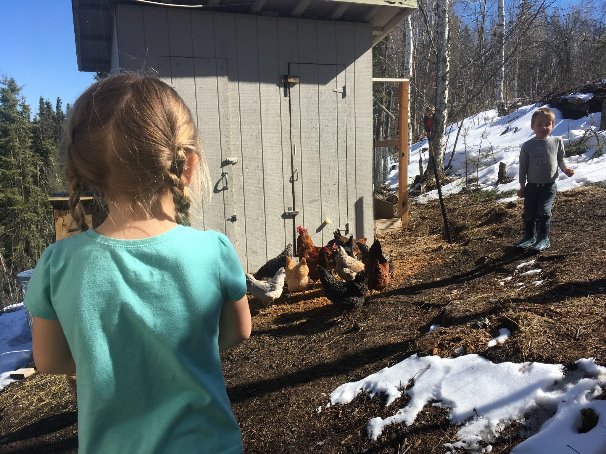 How to Appreciate the Little Things in Alaska Life | My Casual Homestead